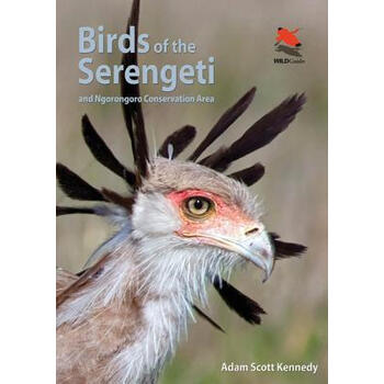 Birds of the Serengeti