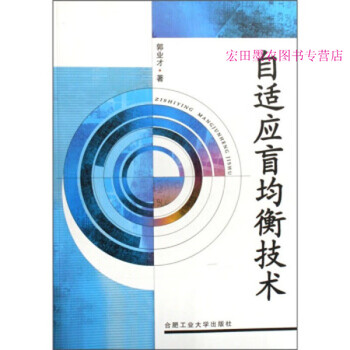 自适应盲均衡技术 郭业才