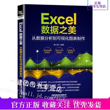 【2022新书】Excel数据之美 从数据分析到可视化图表制作 杨小丽著办公应用自动化技术计算机技术