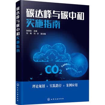 碳达峰与碳中和实施指南 张燕龙 编 书籍
