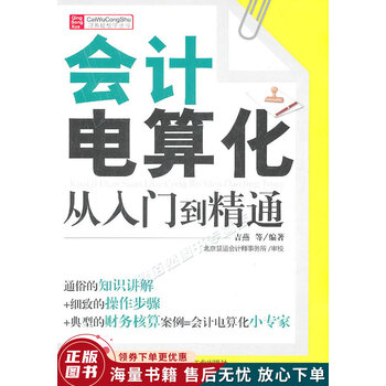 会计电算化从入门到精通