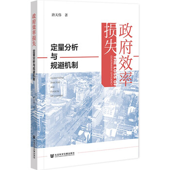 政府效率损失：定量分析与规避机制