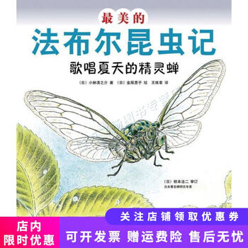 美的法布尔昆虫记歌唱夏天的精灵蝉