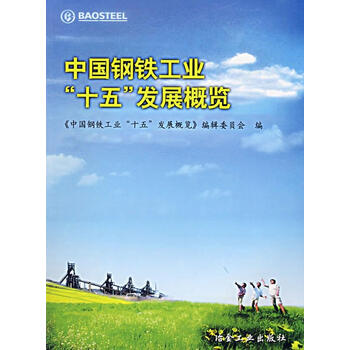 中国钢铁工业“十五”发展概览