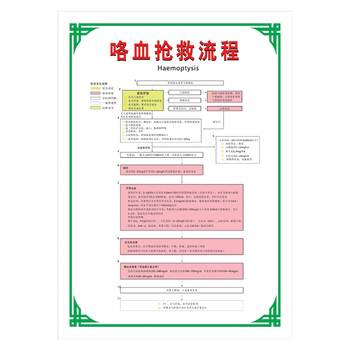 医院制度急救程序挂图过敏性休克抢救流程图示意图墙贴纸WSB169 WSB169-27 70*100cm  PP覆膜贴纸
