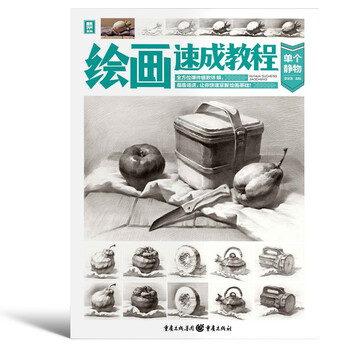 绘画速成教程.单个静物