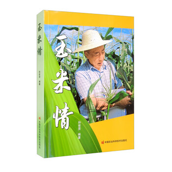 玉米情