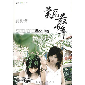 美丽少年 刘童 上海人民出版社