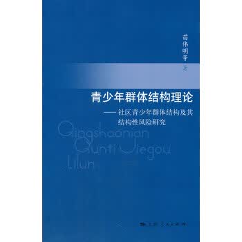 青少年群体结构理论