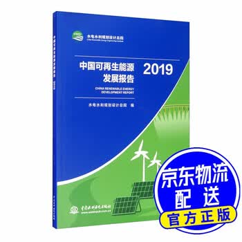 中国可再生能源发展报告2019