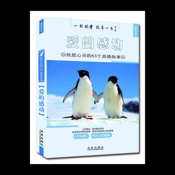 正版书籍 爱的感动9787541733864
