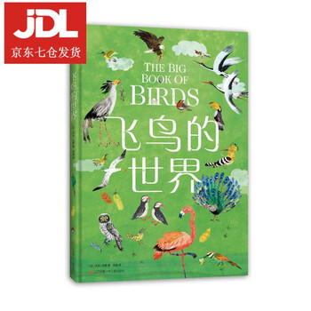 飞鸟的世界