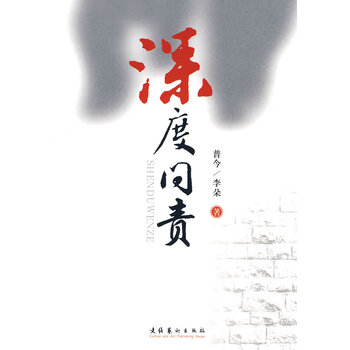 深度问责【正版图书】