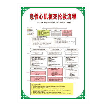 医院制度急救程序挂图过敏性休克抢救流程图示意图墙贴纸WSB169 WSB169-26 80*120cm  PP覆膜贴纸