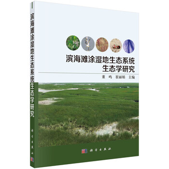 滨海滩涂湿地生态系统生态学研究