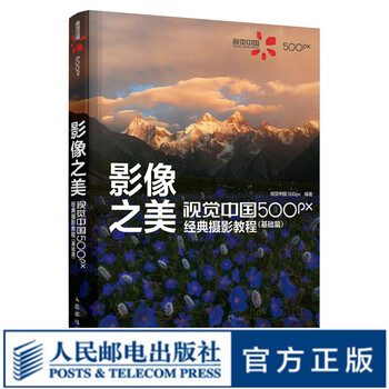 影像之美 视觉中* 500px*摄影教程 基础篇 摄影入门书籍单反摄影技法构图用光色彩理论实拍技巧
