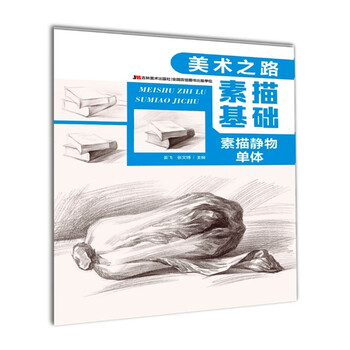 美术之路 素描基础 素描静物单体