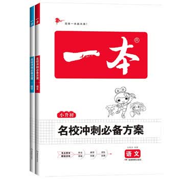 小升初名校冲刺必备方案语文+数学 共2册 丁丽