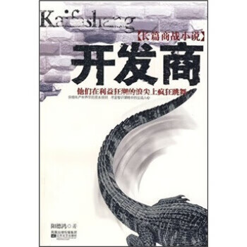 开发商【正版图书】
