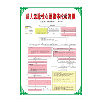医院制度急救程序挂图过敏性休克抢救流程图示意图墙贴纸WSB169 WSB169-29 50*70cm  PP覆膜贴纸