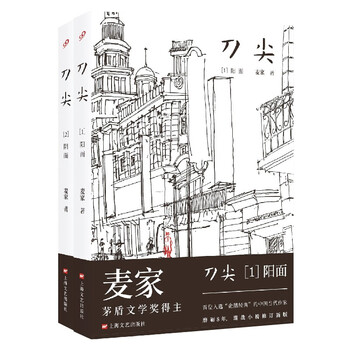 麦家：刀尖1 阳面+刀尖2 阴面（套装共2册） 刀尖1 阳面+刀尖2 阴面
