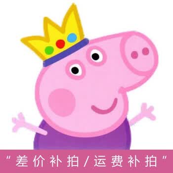 差价链接 国际冲突的理论与实践