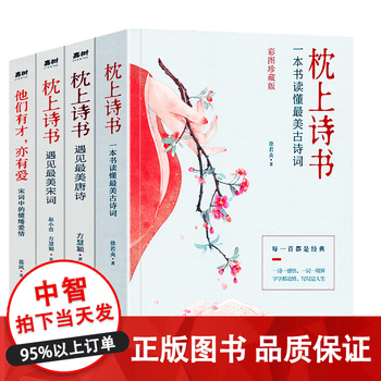 枕上诗书4册 一本书读懂美的古诗词+遇见美的唐诗宋词+他们有才亦有爱 枕上诗书4册