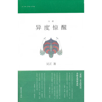 异度惊醒 9787533930639  浙江文艺出版社
