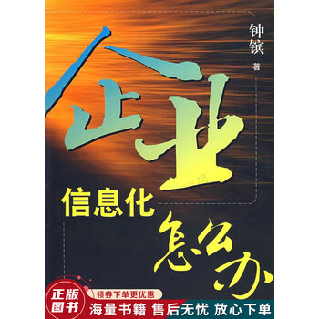 企业信息化：怎么办