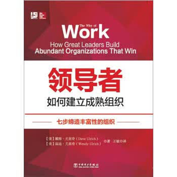 领导者如何建立成熟组织【正版图书】