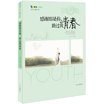 感谢那是你，路过我青春【正版图书】