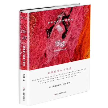 摆渡(互联网人的解忧密码)