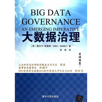 大数据治理 [美]桑尼尔·索雷斯