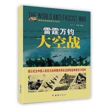 [按需印刷]雷霆万钧大空战