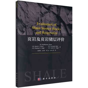 页岩及页岩储层评价/支东明