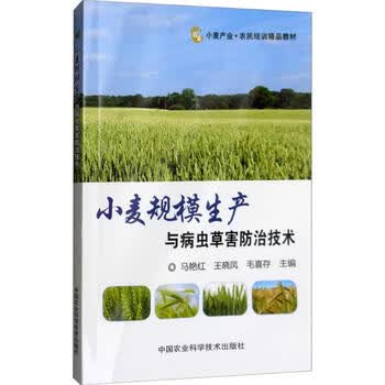 小麦规模生产与病虫草害防治技术 马艳红,王晓凤,毛喜存