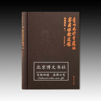 青州龙兴寺遗址窖藏佛教造像 圆雕佛像 卷一【精】