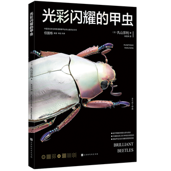 光彩闪耀的甲虫