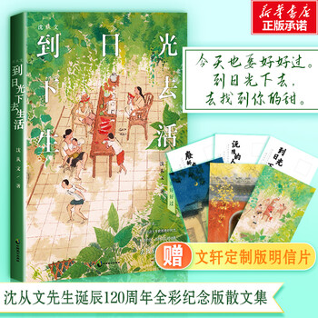 到日光下去生活 沈从文先生诞辰120周年全彩纪念版 另著边城  湘行散记 图书
