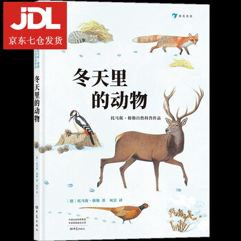 冬天里的动物