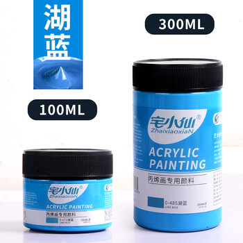 丙烯颜料防水手绘画材料diy墙绘彩绘工具24色画鞋子12色300ml白色炳稀染料不掉色儿童涂鸦丙 湖蓝 300ml