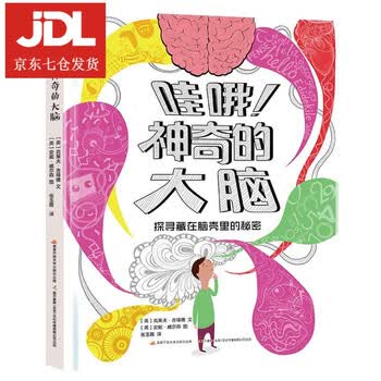 哇哦神奇的大脑