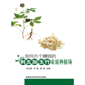 如何办个赚钱的刺五加玉竹家庭种植场