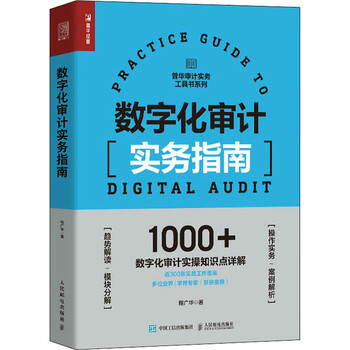 数字化审计实务指南 程广华  书籍