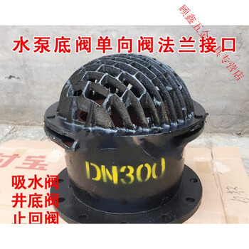 H42X-6法兰底阀 单向阀止回阀铸铁水泵底阀DN50 80 100 150 200 DN125-中档10压力【图片 价格 品牌 报价】-京东