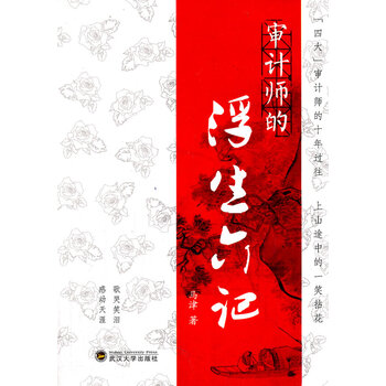 审计师的浮生六记