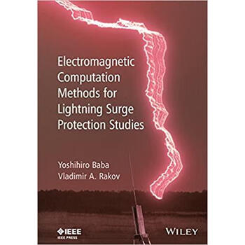 Electromagnetic Computation Methods for Lightnin