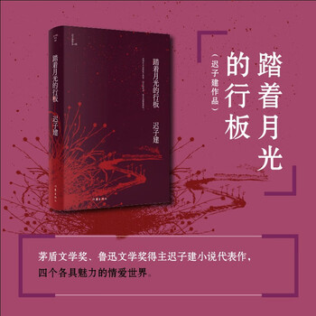 踏着月光的行板（茅盾文学奖、鲁迅文学奖得主迟子建小说代表作亲选集，四个各具魅力的情爱世界）