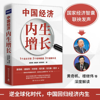中国经济：内生增长