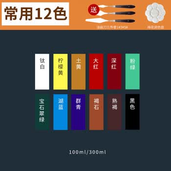 丙烯颜料防水手绘画材料diy墙绘彩绘工具24色画鞋子12色300ml白色炳稀染料不掉色儿童涂鸦丙 常用12色 100ml